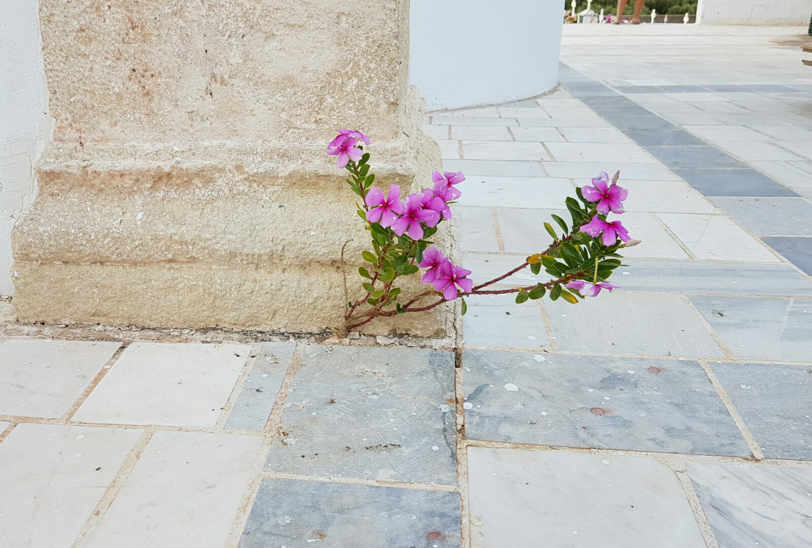 Βαγγέλης Ακτσαλής – Φιλελεύθερος, Ρηξικέλευθος, Ευρωπαϊστής